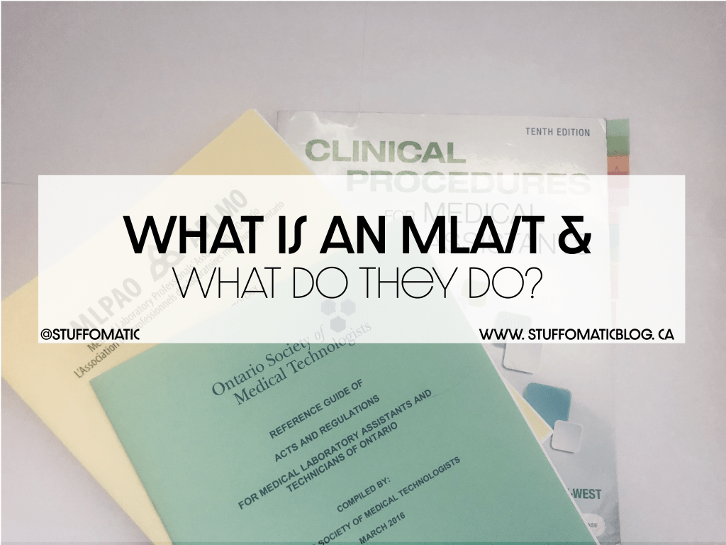 What is an MLA/T and What do they do? – Noemi’s Corner