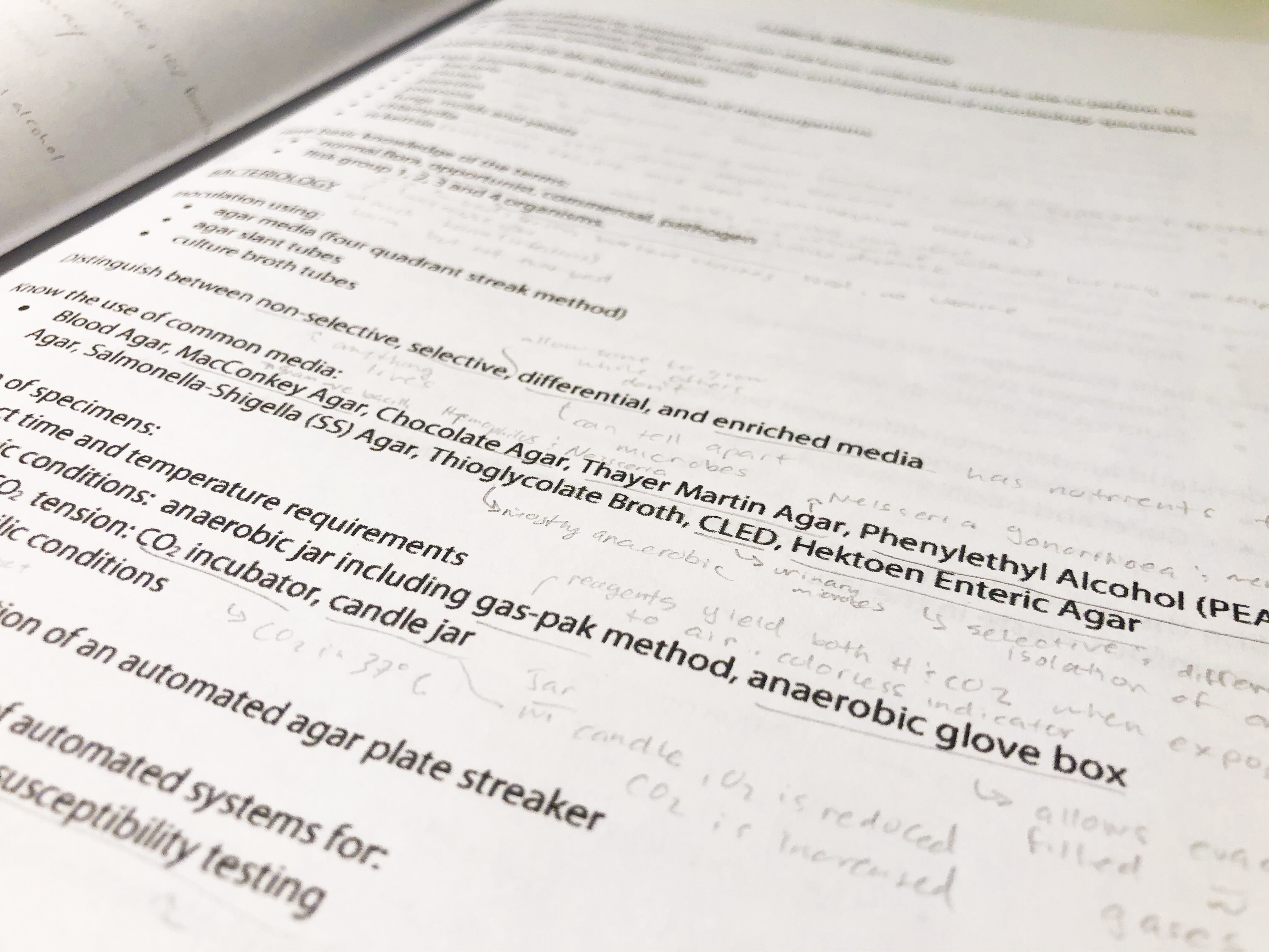 Tips on Preparing for the MLPAO Exam – Noemi’s Corner